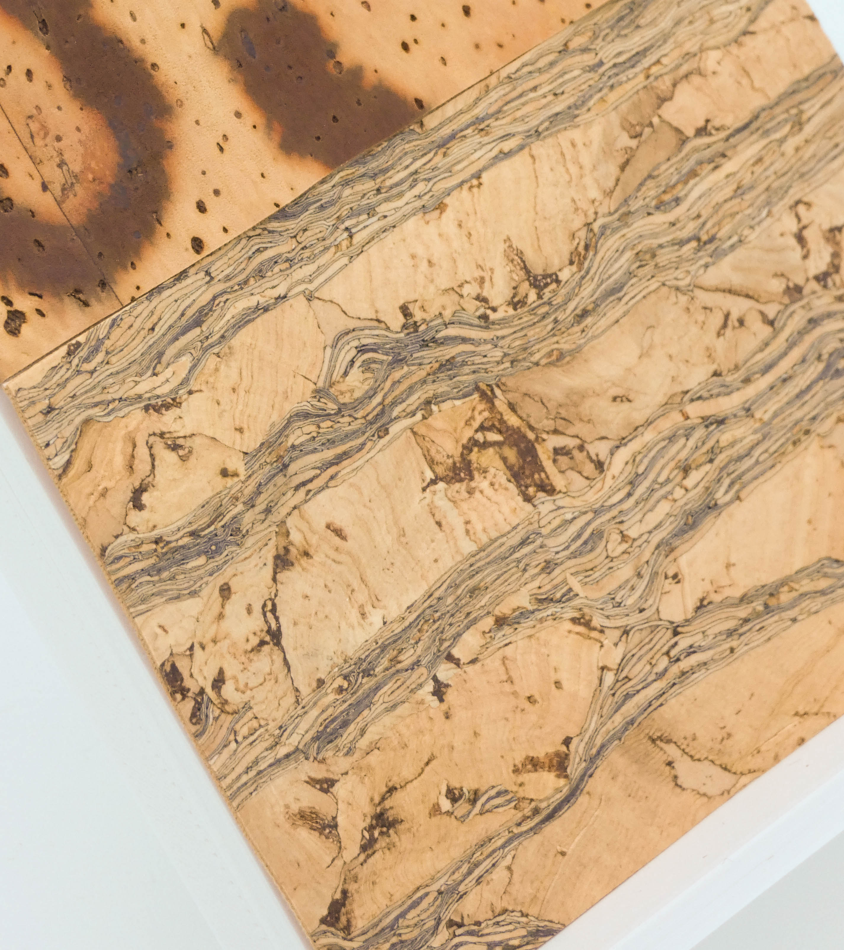 Cork leather - Kork-Line - Brain of Materials