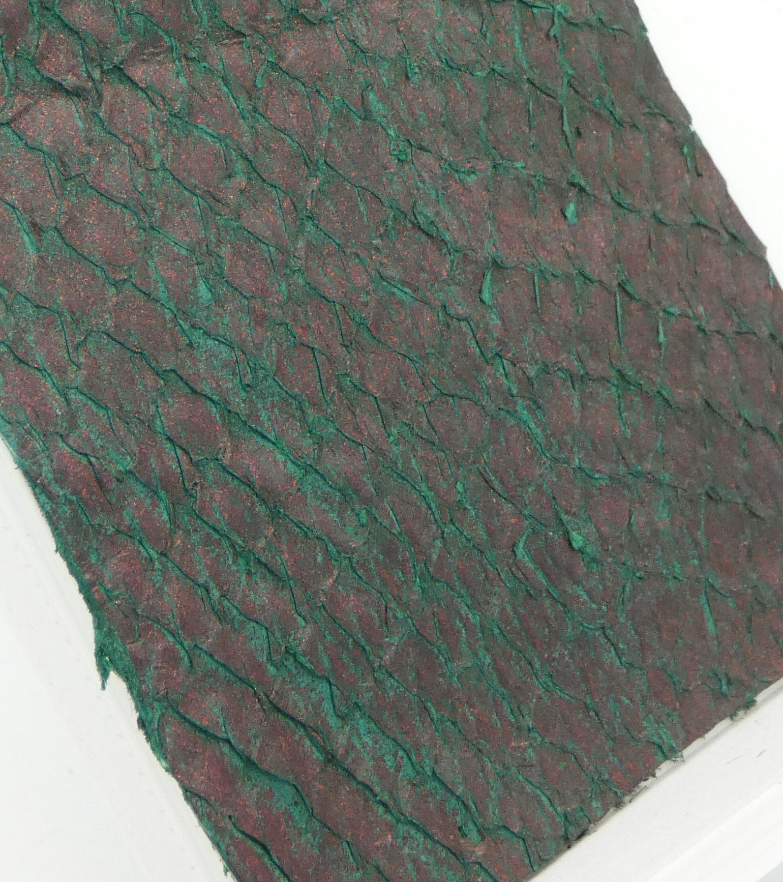 Aqua leather - Fish Leather - Brain of Materials